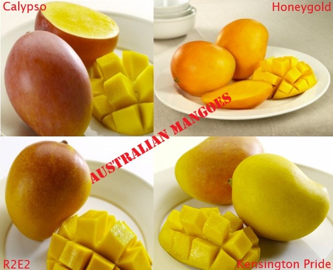 Australian Mangoes | ZZ - Fresh Mangoes